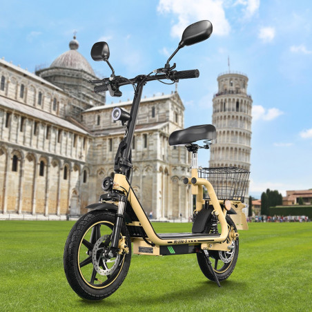 TWOFISH M5 Elite-E 500 W Beige electric scooter, CEE certification